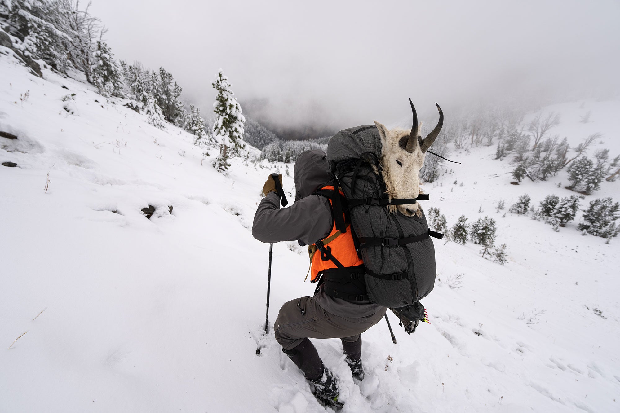Load Cell vs. Load Shelf – Stone Glacier